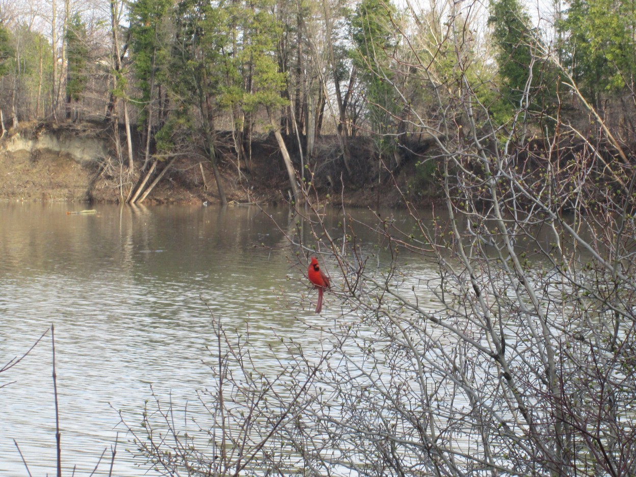 Hiking the GTA #100 – Greatest Treks | Hiking the GTA