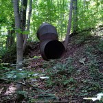 Trout Hollow | Hiking the GTA