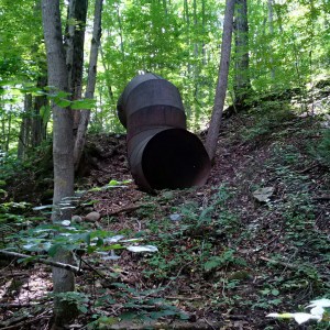 Trout Hollow | Hiking the GTA