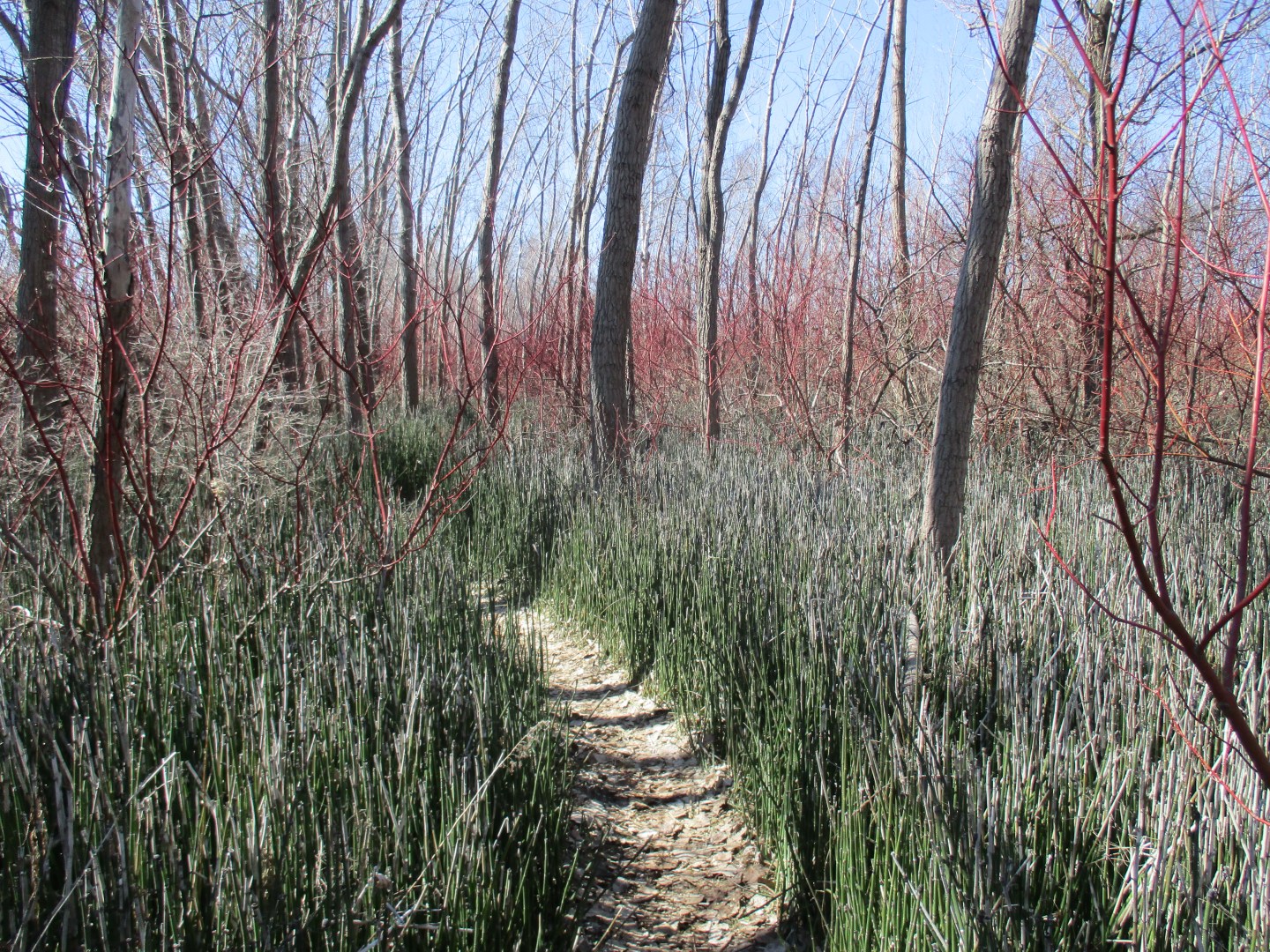 “Long” Weekend Hikes | Hiking the GTA