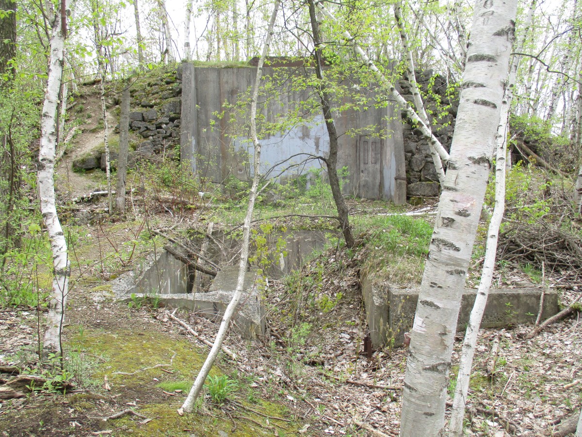 Mount Nemo | Hiking the GTA