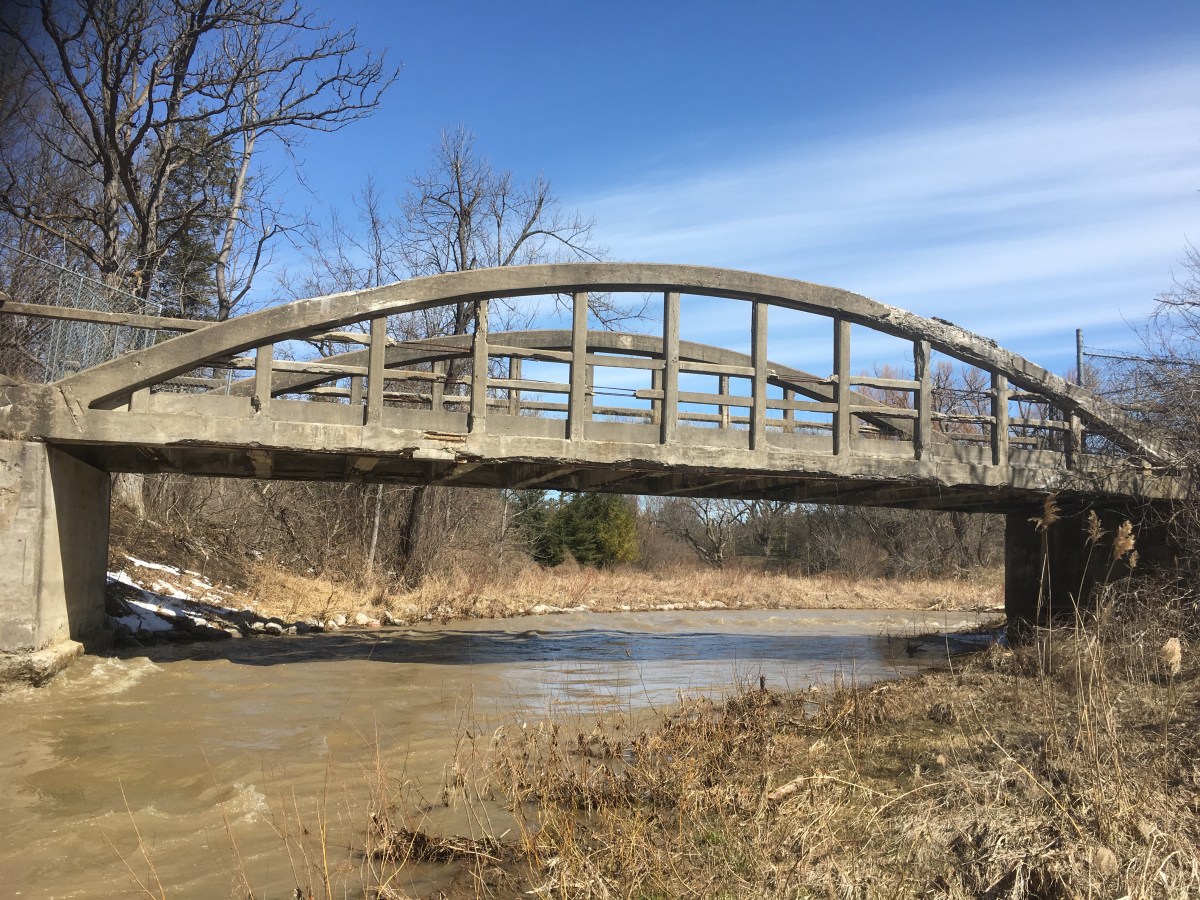Boyd Conservation Area | Hiking the GTA