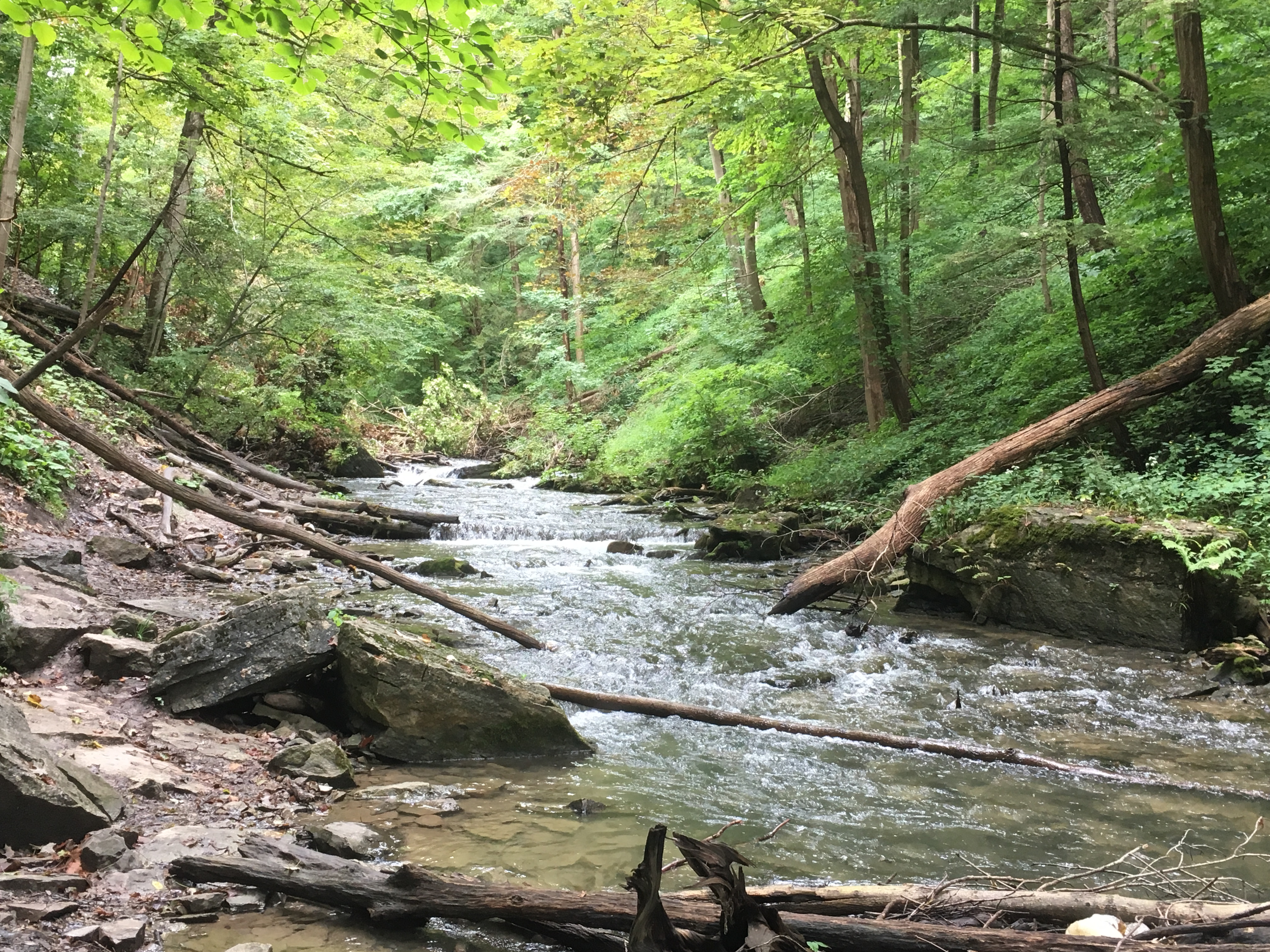 Decew Falls | Hiking the GTA