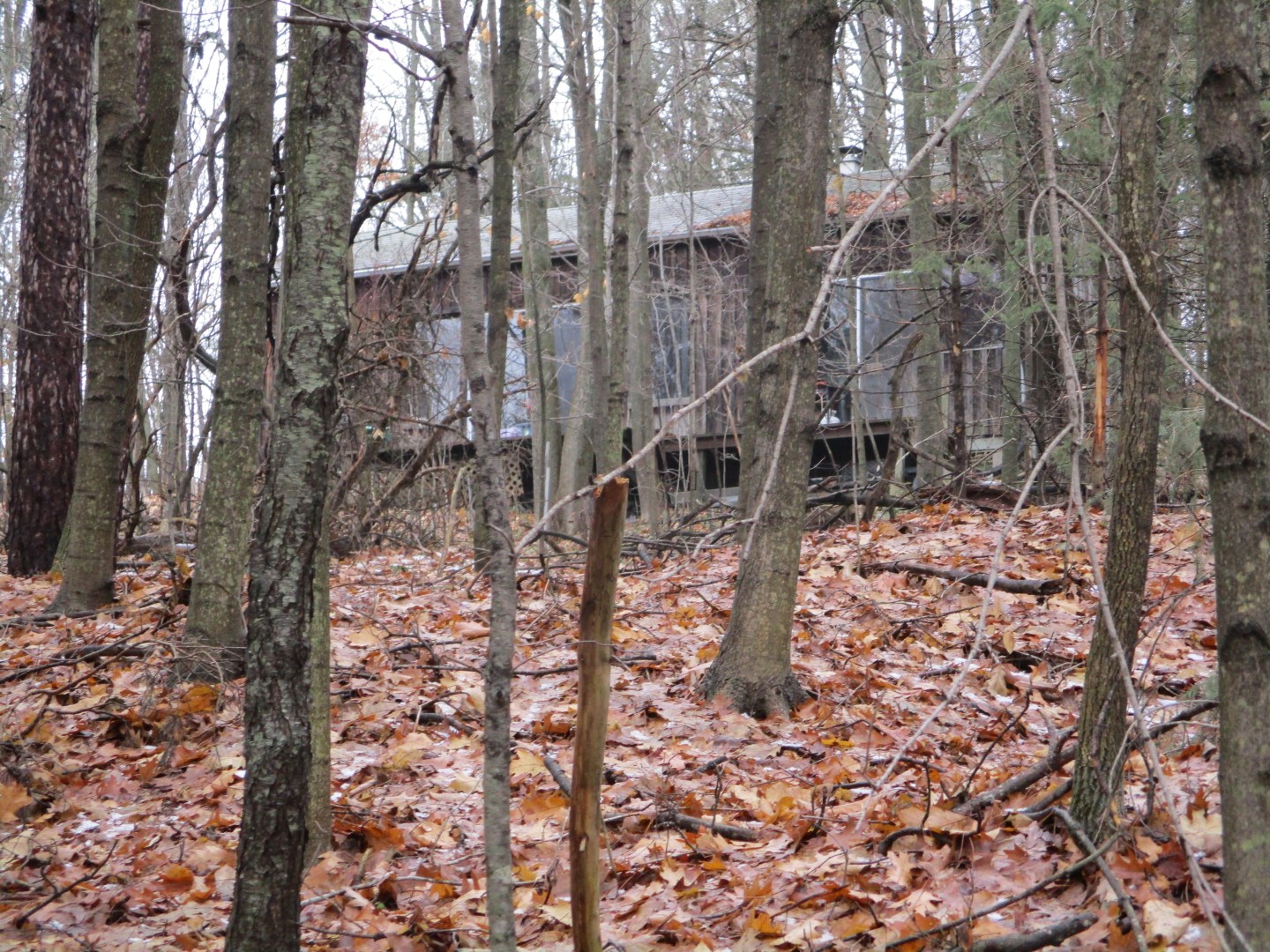 Bruce Trail – Highway 10 to Brimstone | Hiking the GTA