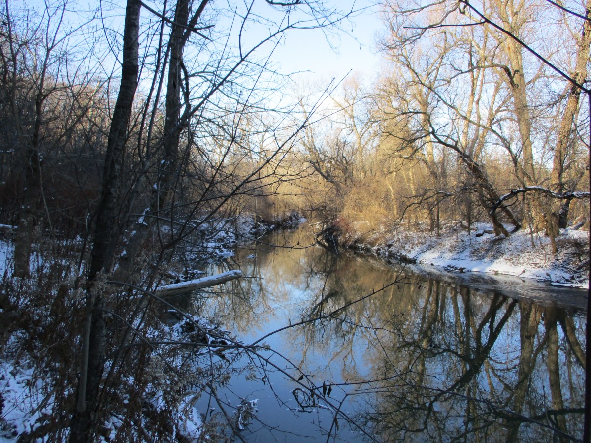 E. T. Seton Park | Hiking the GTA