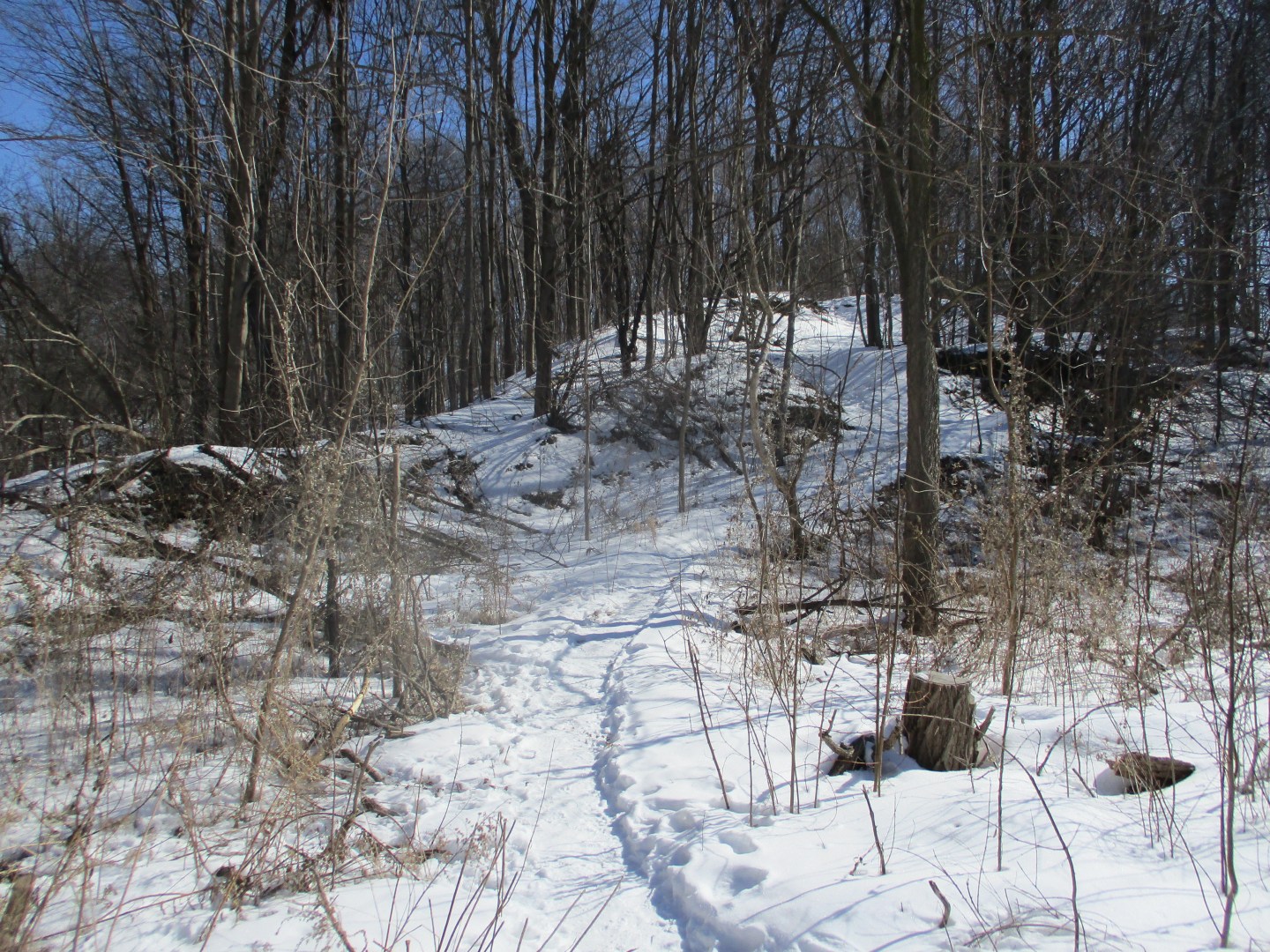 Betty Sutherland Trail | Hiking the GTA