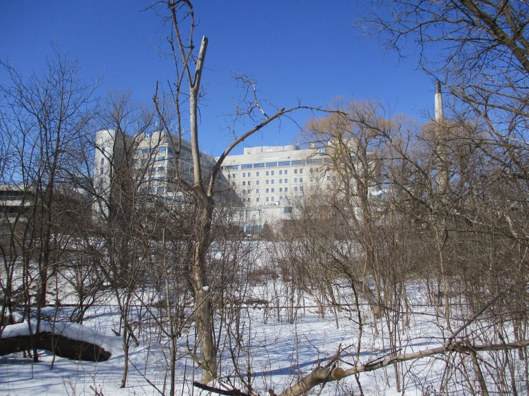 Betty Sutherland Trail | Hiking the GTA