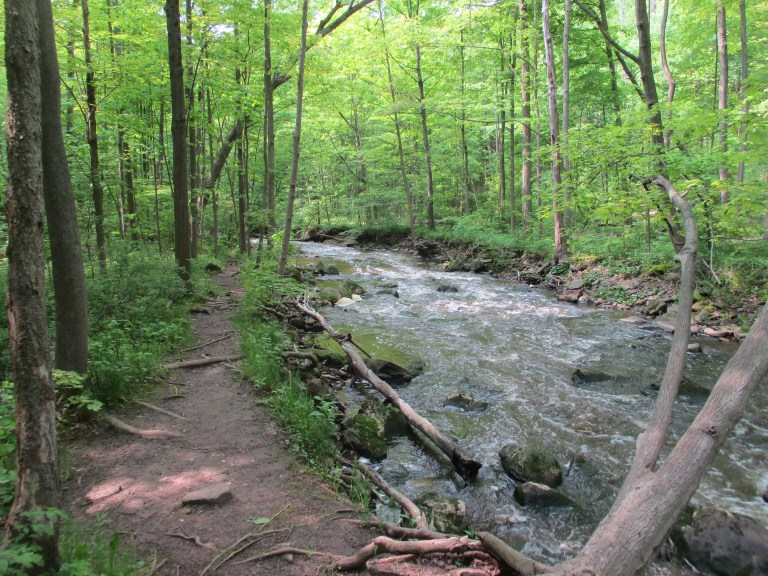 The Bruce Trail – Waterdown | Hiking the GTA