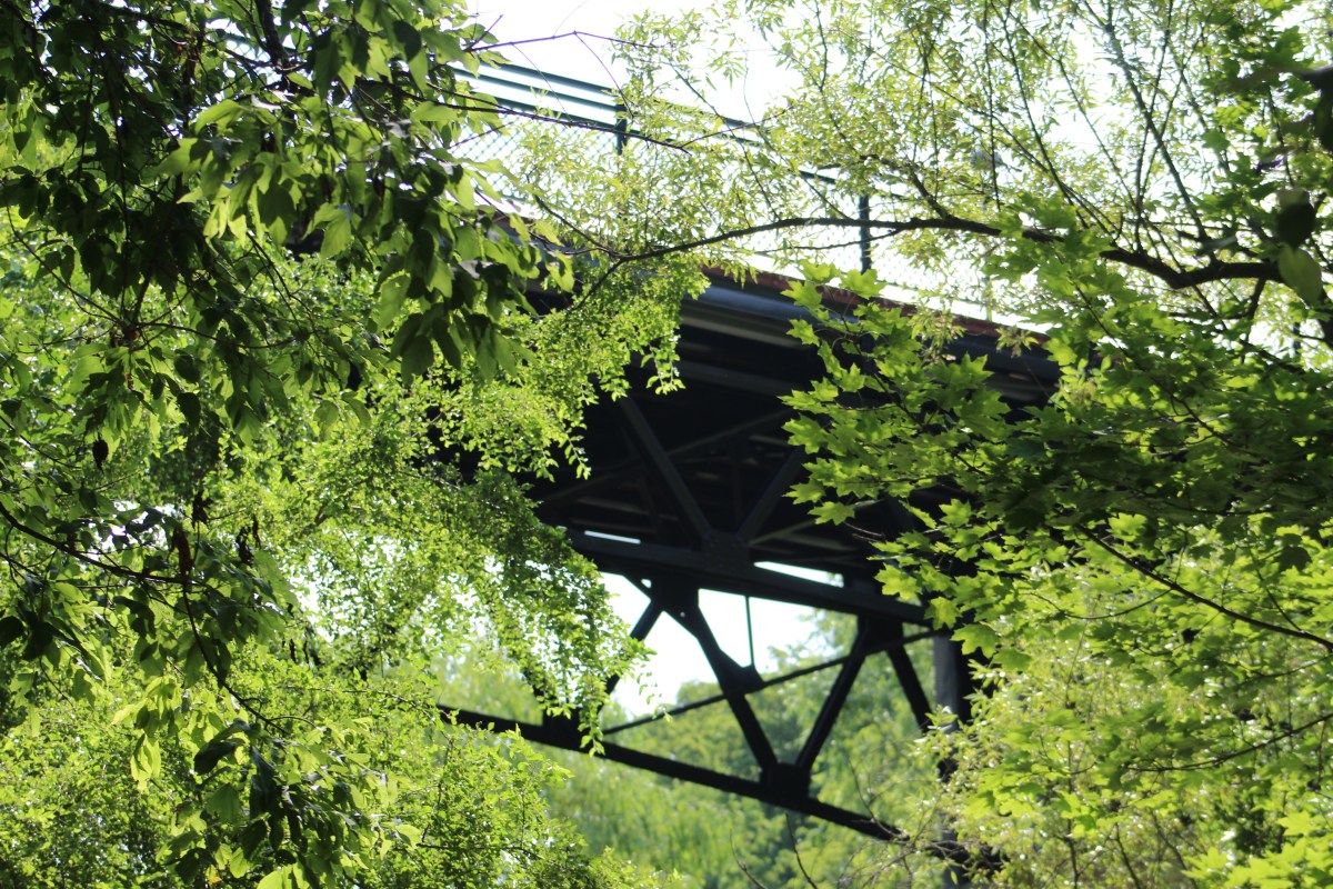 Cedarvale Park | Hiking the GTA