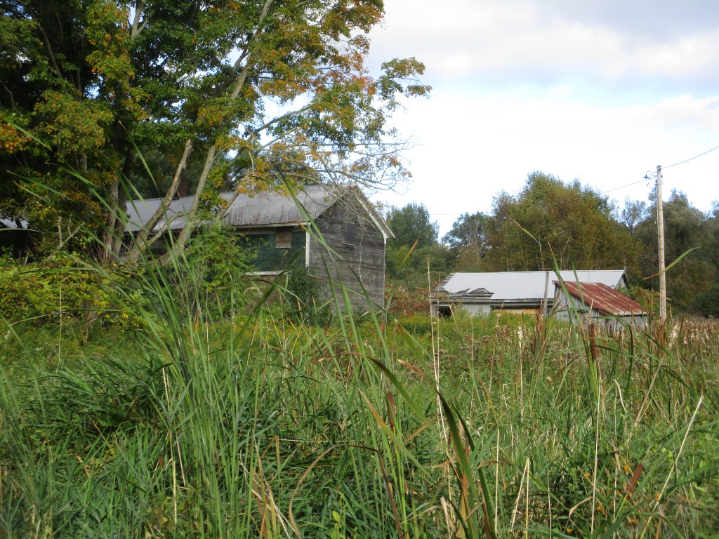 Wesleyville – Ghost Towns of the GTA | Hiking the GTA