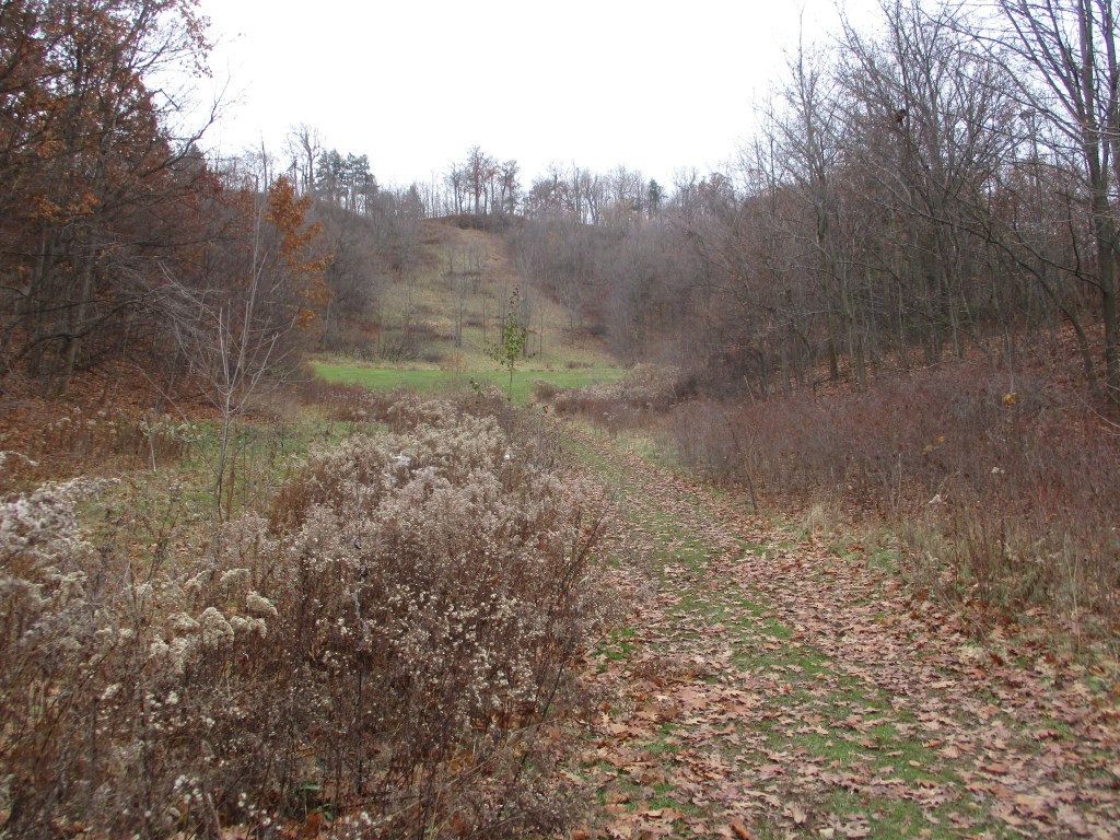 Chedoke Ski Hill | Hiking the GTA