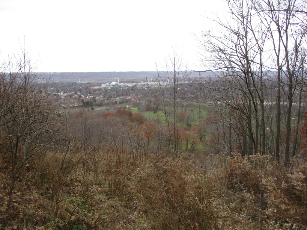 Chedoke Ski Hill | Hiking the GTA