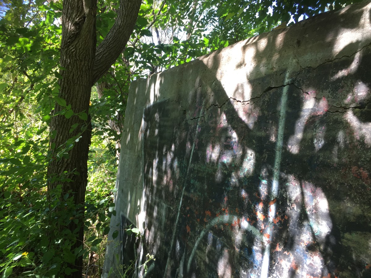 Hurricane Hazel – Raymore Drive | Hiking the GTA