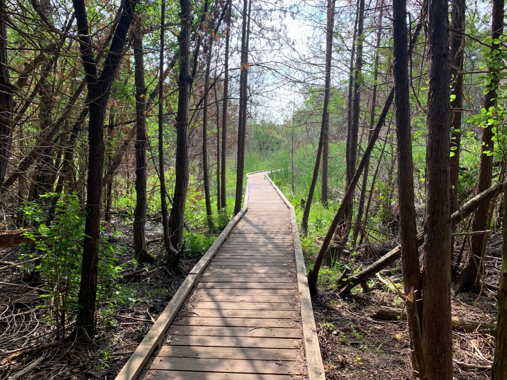 Altona Forest 2020 | Hiking the GTA