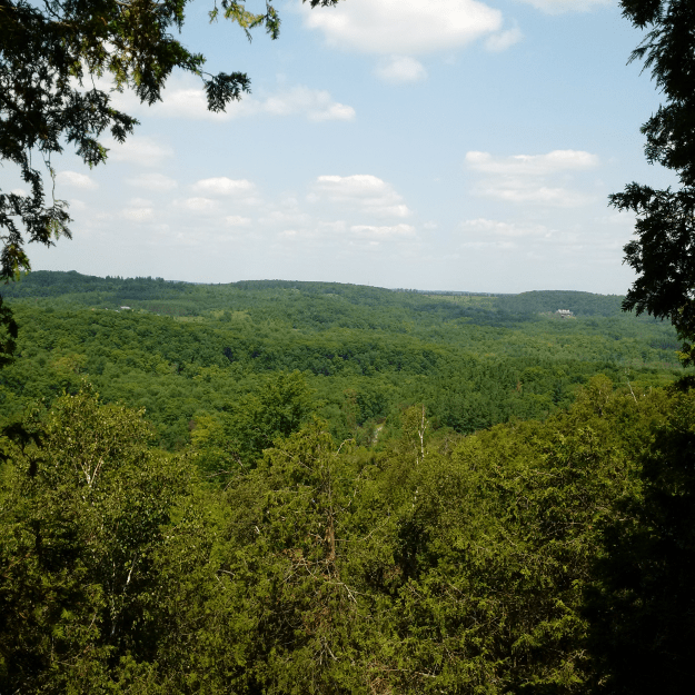 Back Tracks – 8 Years of Trails | Hiking the GTA