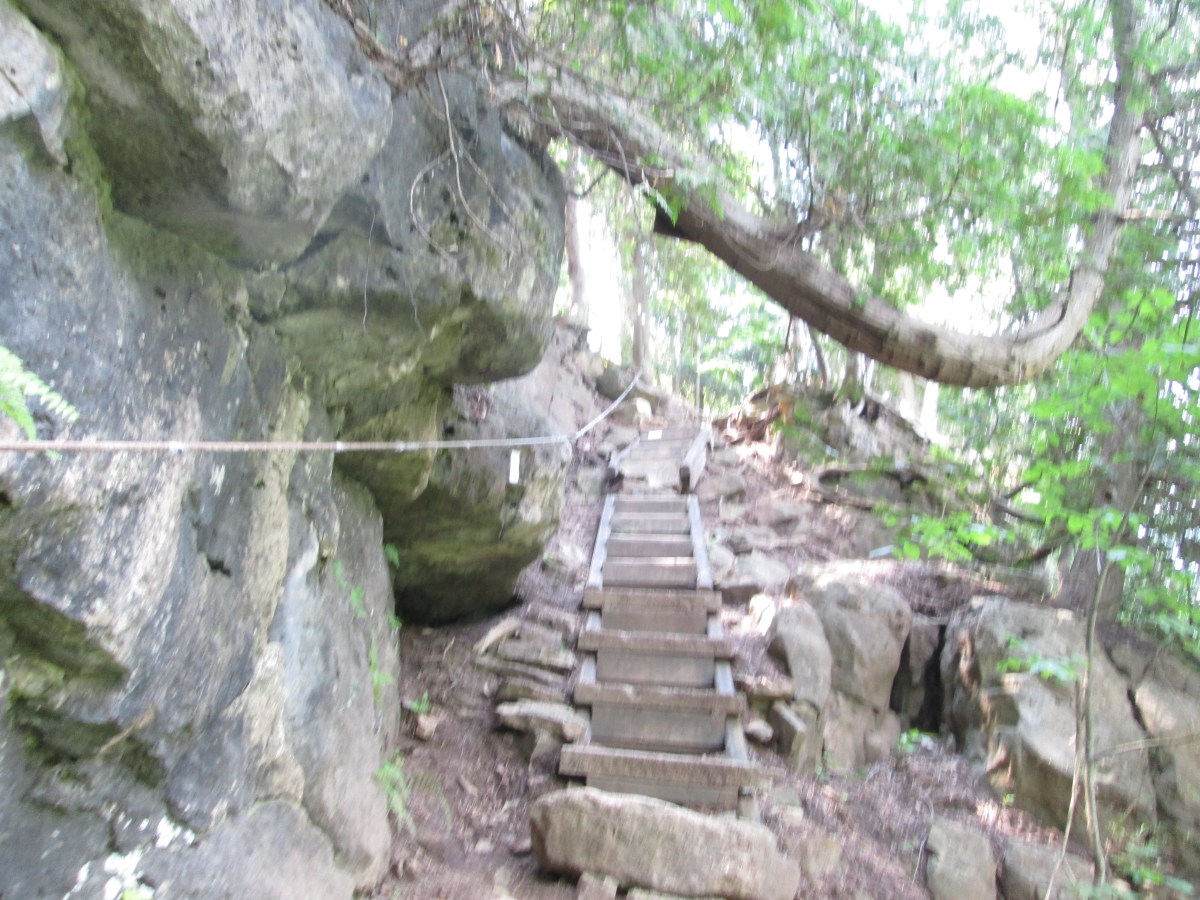 Back Tracks – 8 Years of Trails | Hiking the GTA