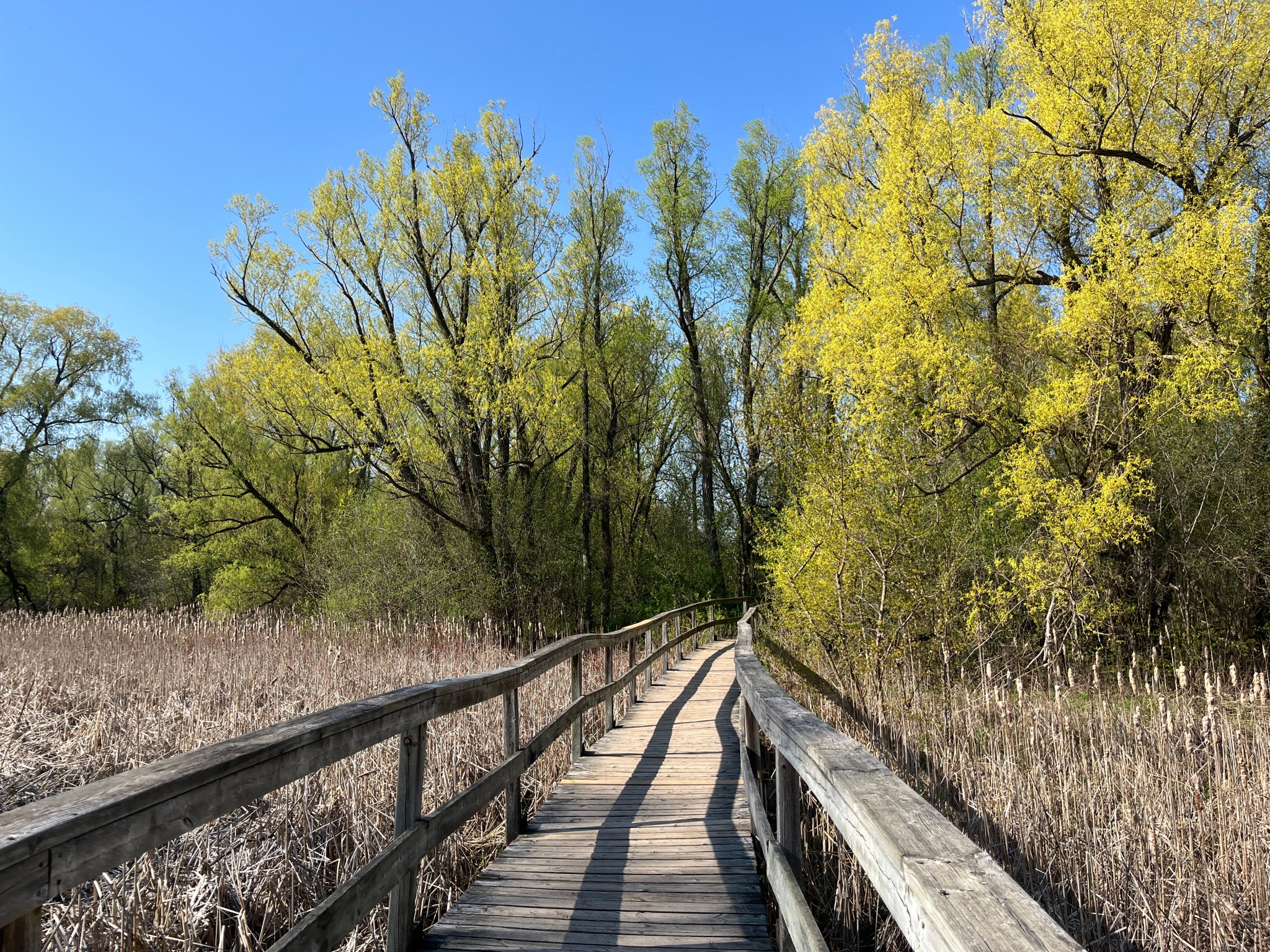 Toogood Pond Park | Hiking the GTA