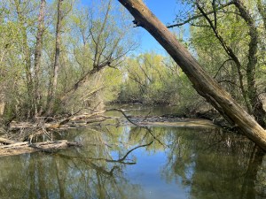 Toogood Pond Park | Hiking the GTA