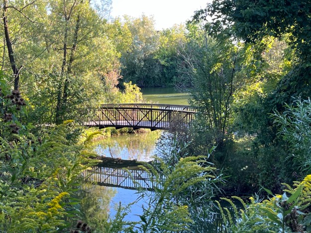 Swan Lake – Markham | Hiking the GTA